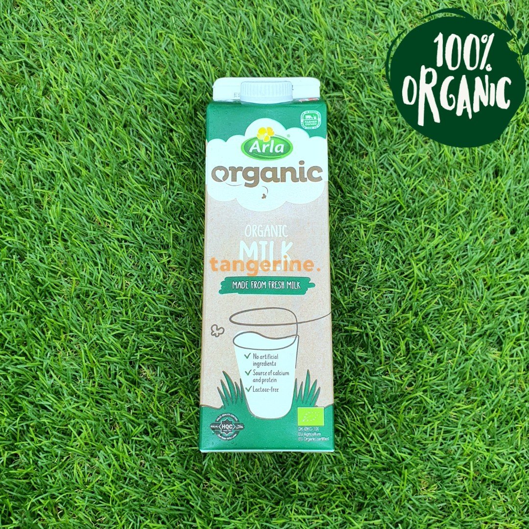 Organic Arla Fresh Milk - tangerine.